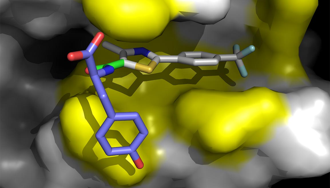 Resources | ARC Centre for Fragment-Based Design